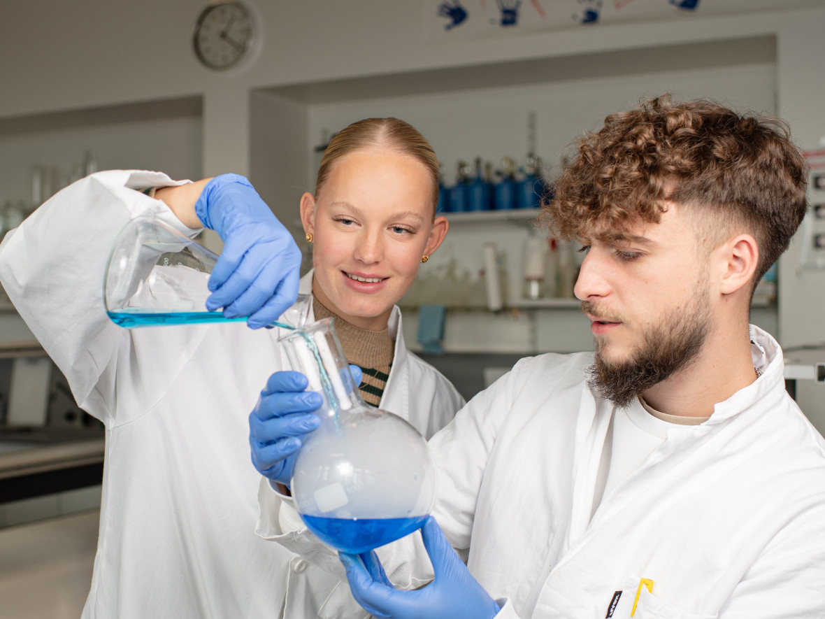 NMS Bern - Schulen - BAM